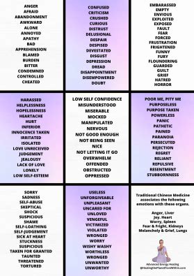 Image result for Emotion Code Healing