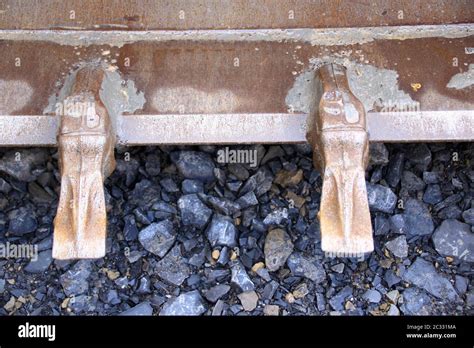 Image result for Teeth Bucket vs Smooth Bucket