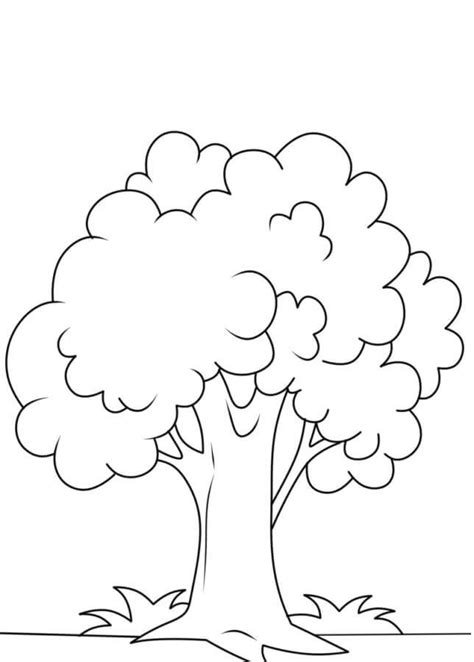 Image result for Basic Tree