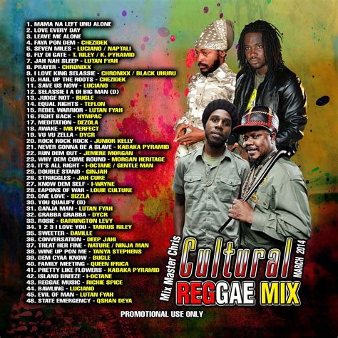 Image result for Reggae Master Mix