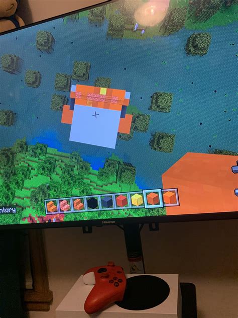 Image result for Socks Minecraft