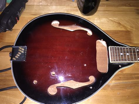 Image result for 4 String Mandolin