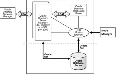 Image result for Oracle SQL Developer LDAP Connection
