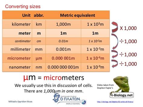 Image result for Micrometer Conversion Chart