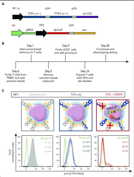 Image result for T-cell Reprogramming