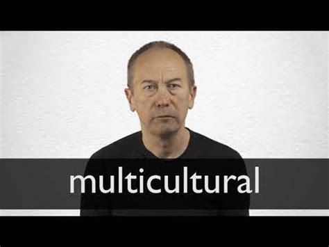 Image result for Multicultural Meaning