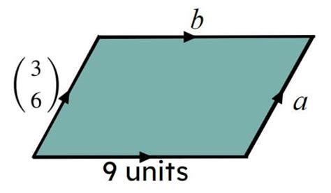 Image result for Parallel Vectors Example