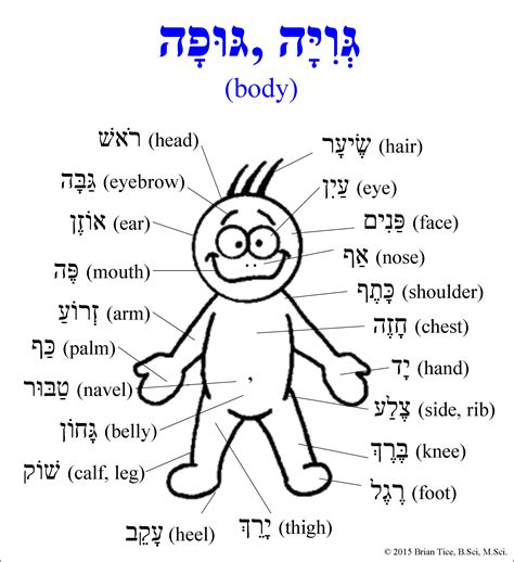 Image result for Hebrew Sign Language