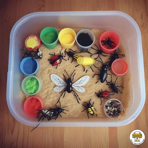 Image result for Insects Lessons