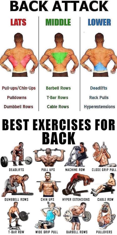 Image result for Simple Back Exercise