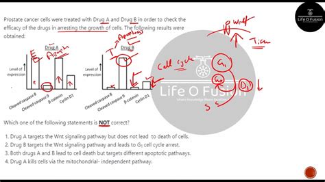 Image result for UPGMA Method CSIR Net Pyqs