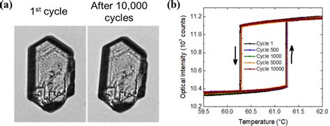 Image result for Crystal Optical Microscope