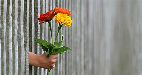 Image result for Book Intro