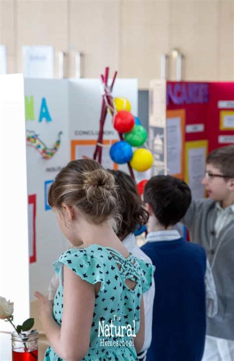 Image result for Homemade Science Projects