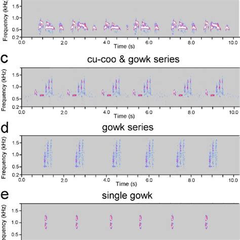 Image result for Playback Module How to Add Files