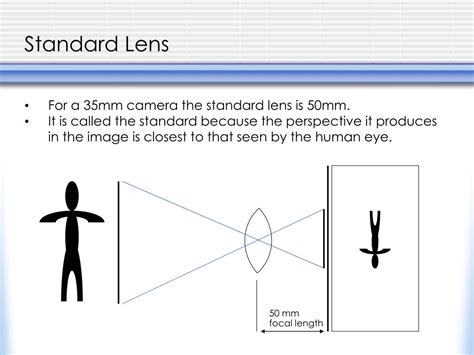 Image result for Slr.camera Tutorial
