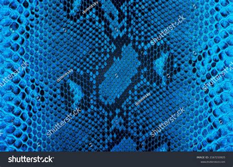 Image result for Reticulated Python Skin Pattern