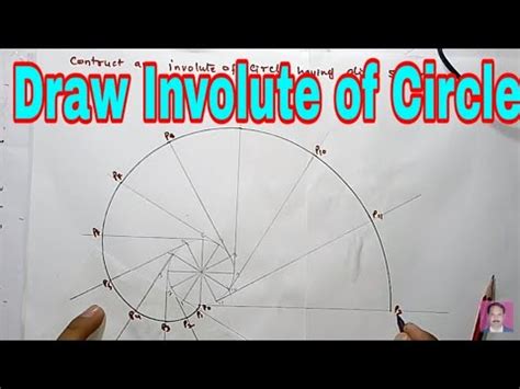 Image result for Involute Drawing
