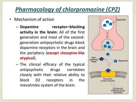 Image result for Extrapyramidal Disorder