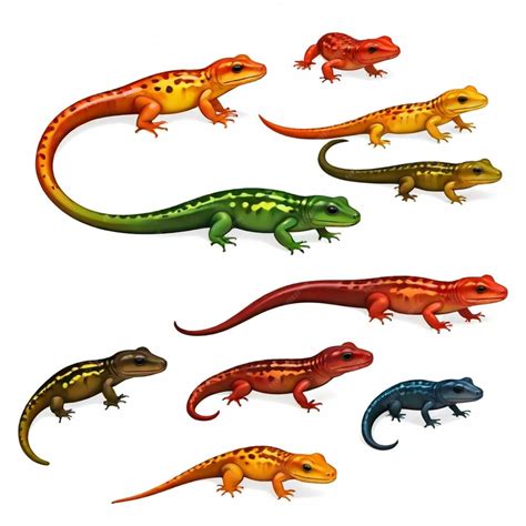 Image result for Lizard Colors