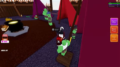 Image result for Roblox Wacky Wizards How to Get Pool