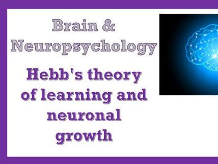 Image result for Hebb Learning Task