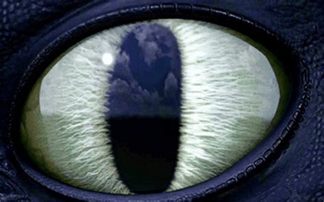 Image result for Toothless Eye Color