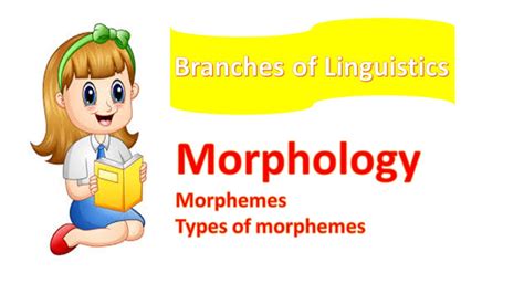 Image result for Example of Morphological