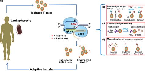 Image result for T-cell Reprogramming
