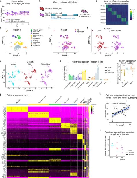 Image result for Neuronal Reprogramming