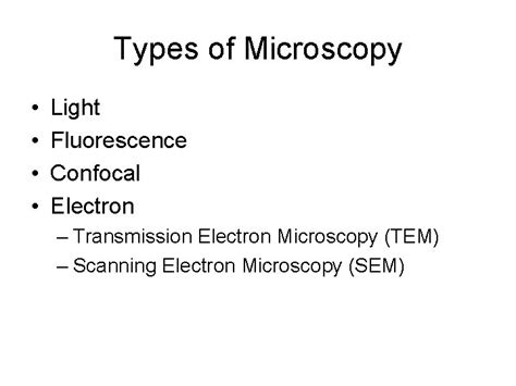 Image result for Confocal Microscopy Tutorial