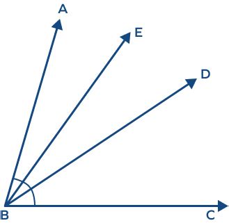 Image result for Define Bisect