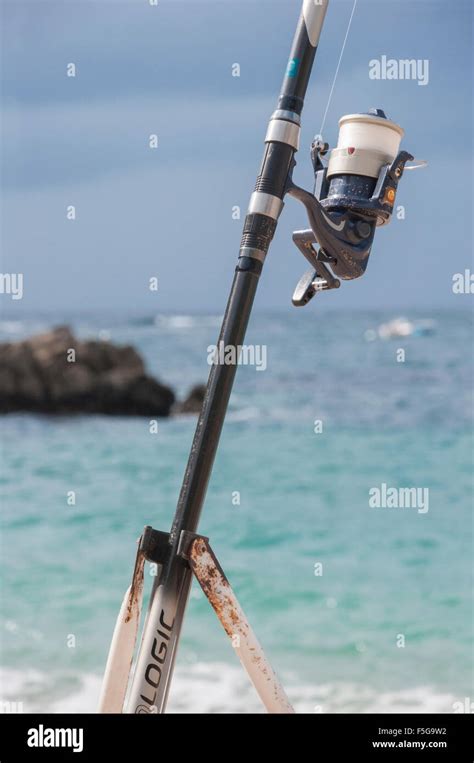 Image result for Fish Rod Cast Out