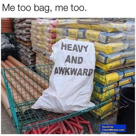 Image result for Popular Clean Memes