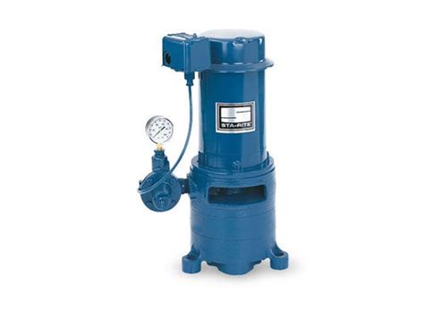 Image result for Sta-Rite Deep Well Pump