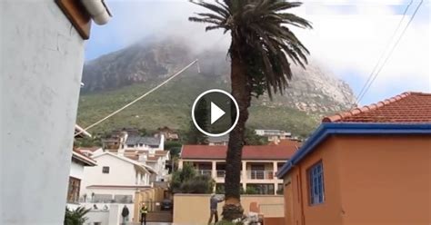 Image result for Tree Pull Fail