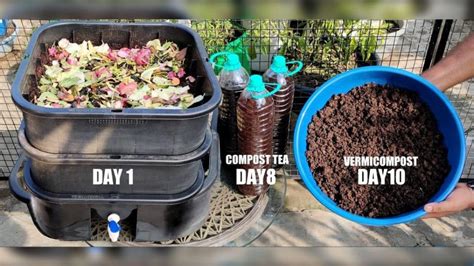 Image result for Backyard Composting DIY