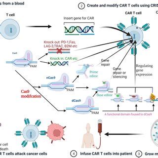 Image result for T-cell Reprogramming