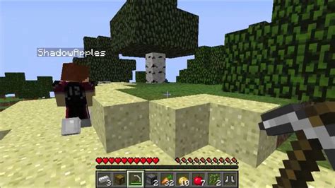 Image result for Minecraft Shadowapples