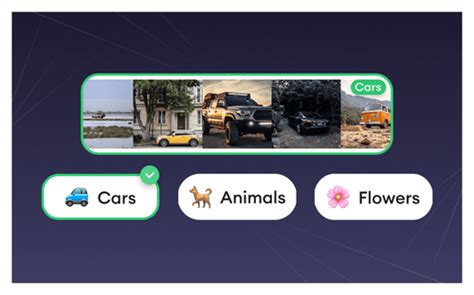 Image result for Classification Basic Image Example