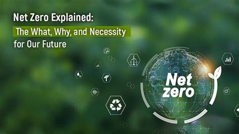 Image result for NetZero Definition