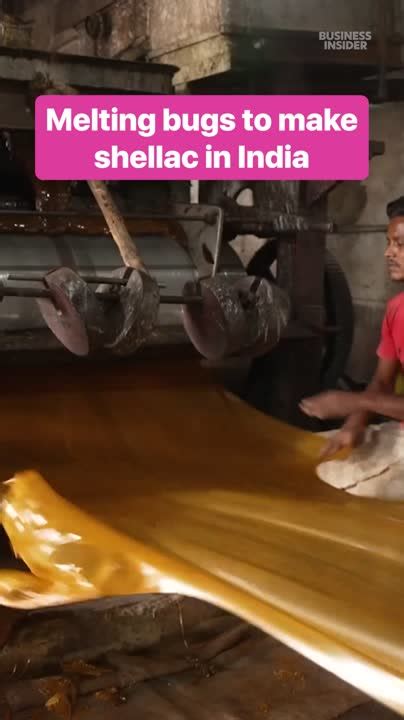 Image result for Using Shellac Resin On Floors