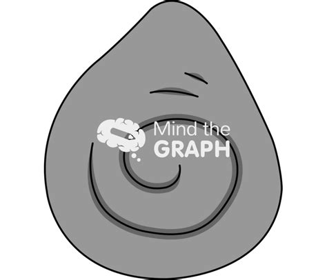 Image result for Discus Block Leg