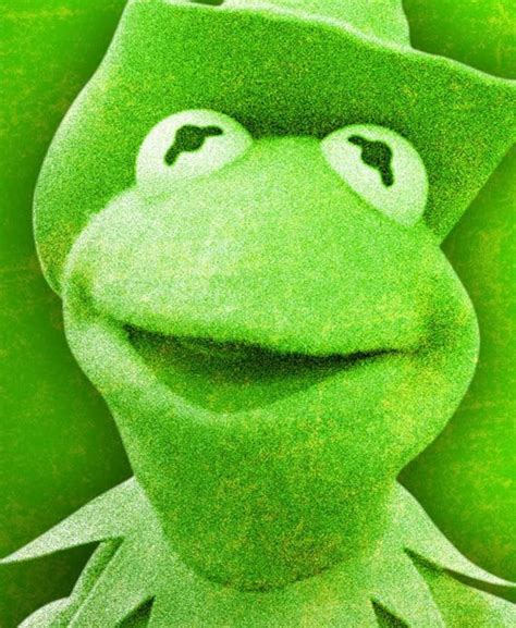 Image result for Rainbow Connection Kermit 2011