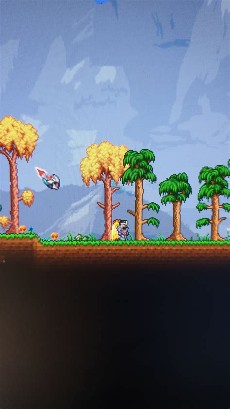 Image result for Tmodloader Empty World