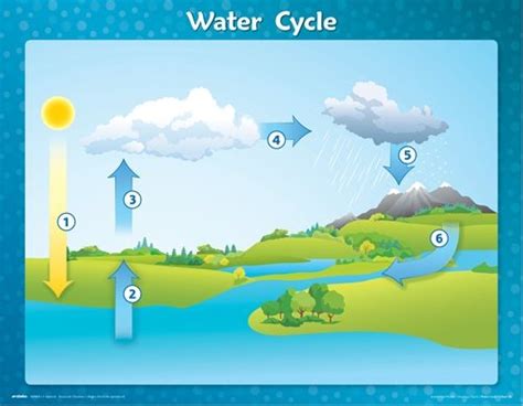 Image result for 3rd Grade Science Practice Test