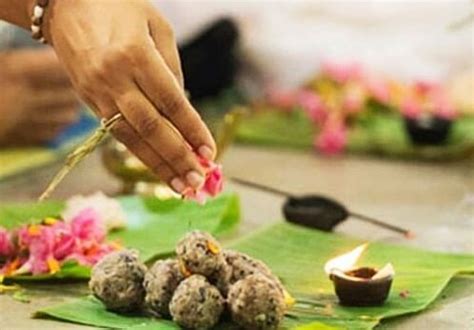 Image result for Shrdha Di Python