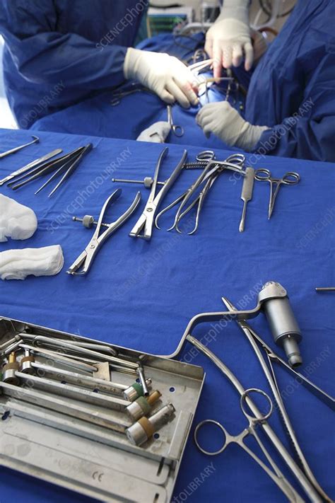 Image result for Veterinary surgery Surgery Types