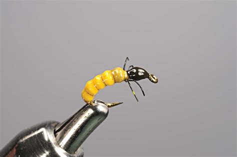 Image result for Effective Trigger Nymph Patterns