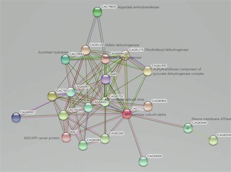 Image result for Protein Interactions Simulating Software